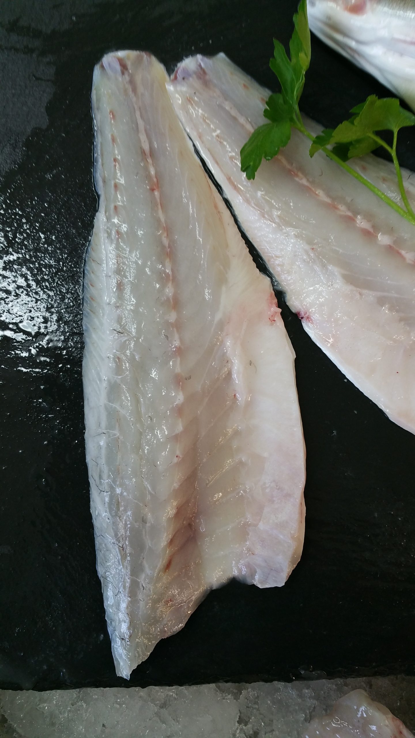 Seabass fillet (farmed) | Fish Glorious Fish